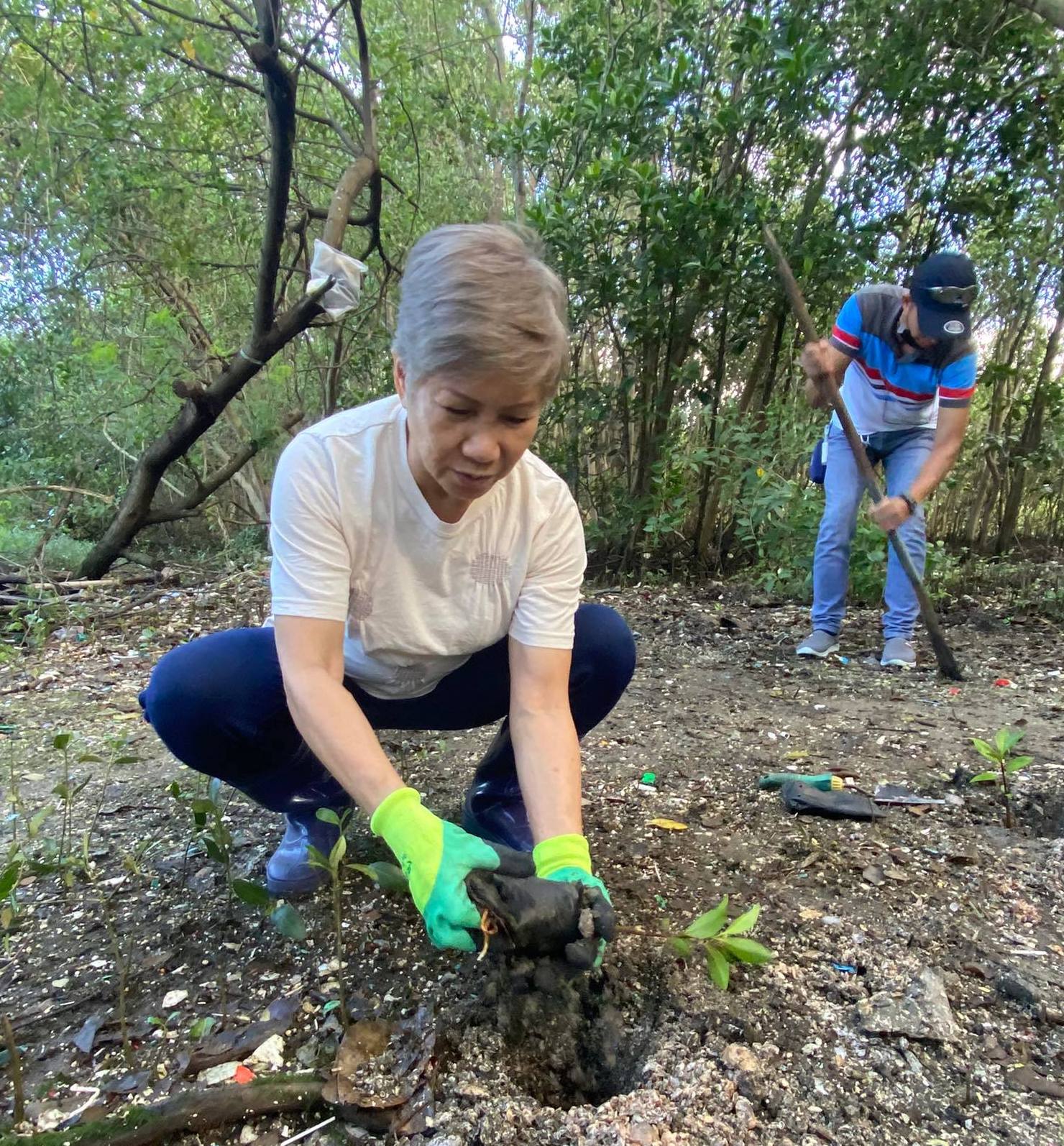 Mangrove planting in Navotas - Christians in Conservation ...