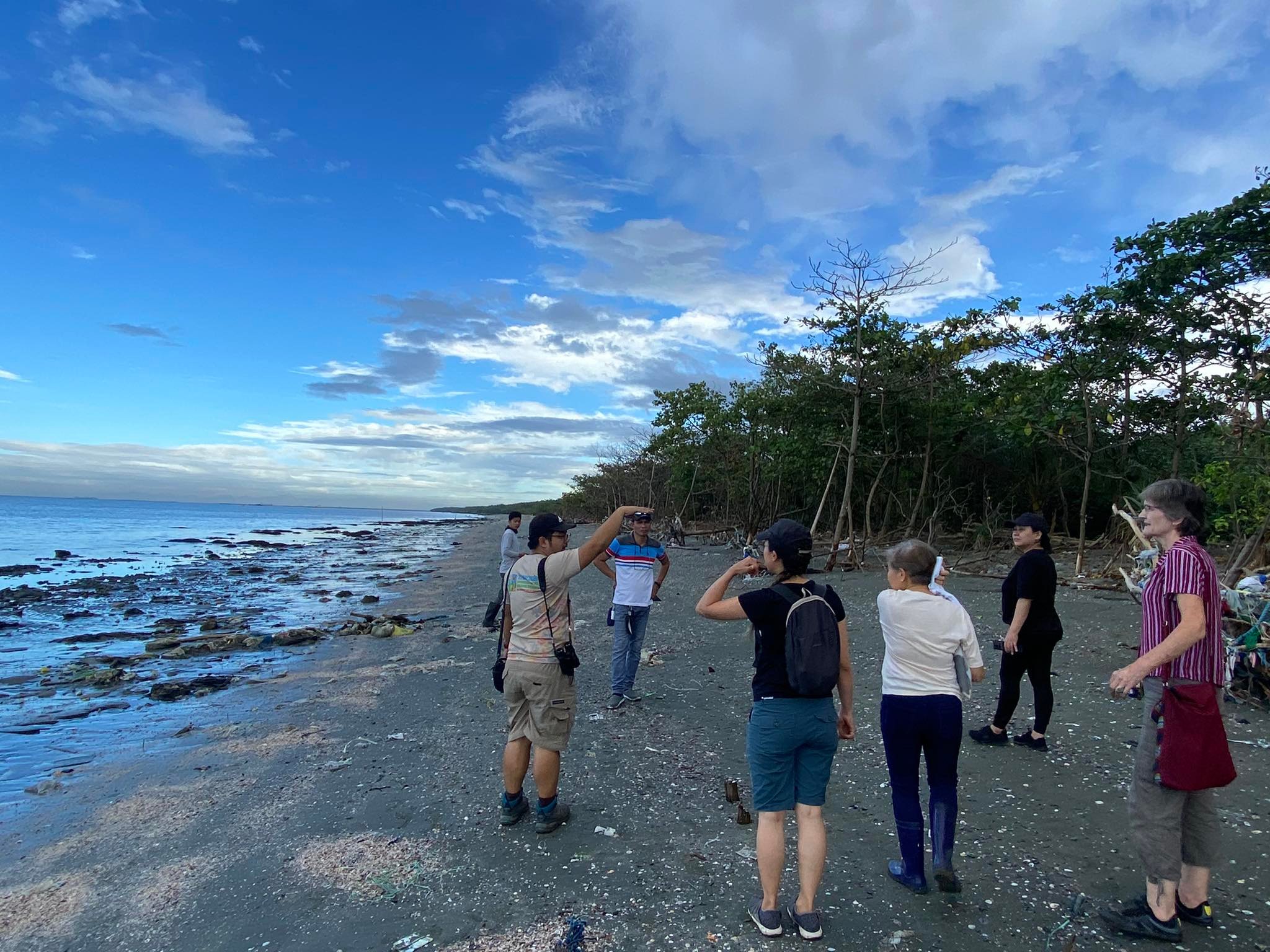 Mangrove planting in Navotas - Christians in Conservation ...